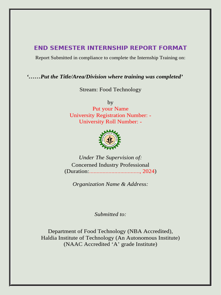 Internship Report Format | PDF