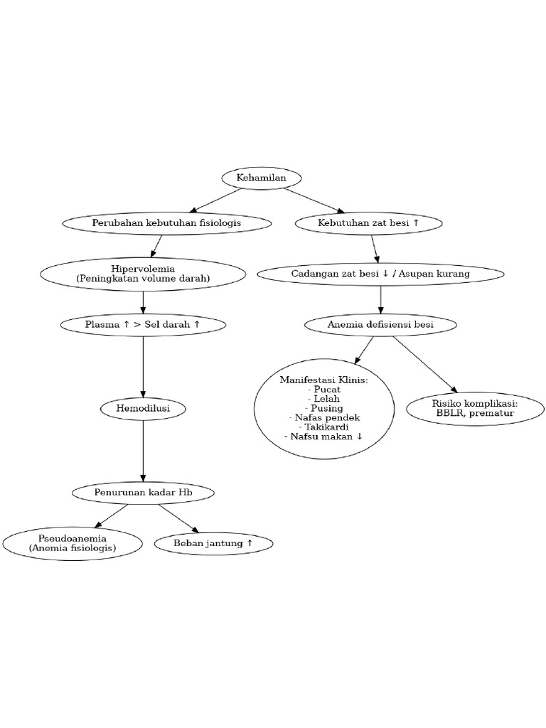 Pathway Anemia MK Lengkap | PDF