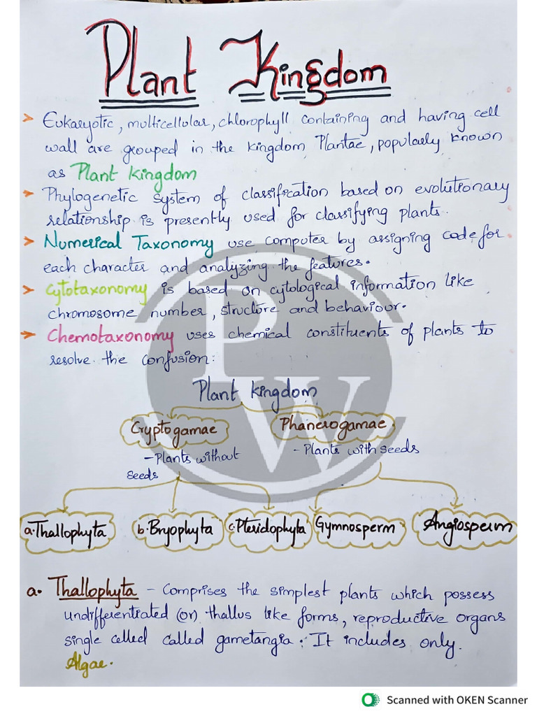 Plant Kingdom - Handwritten Notes | PDF