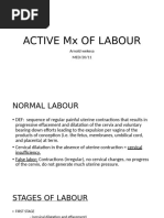 WHO 2022 Partograph | PDF