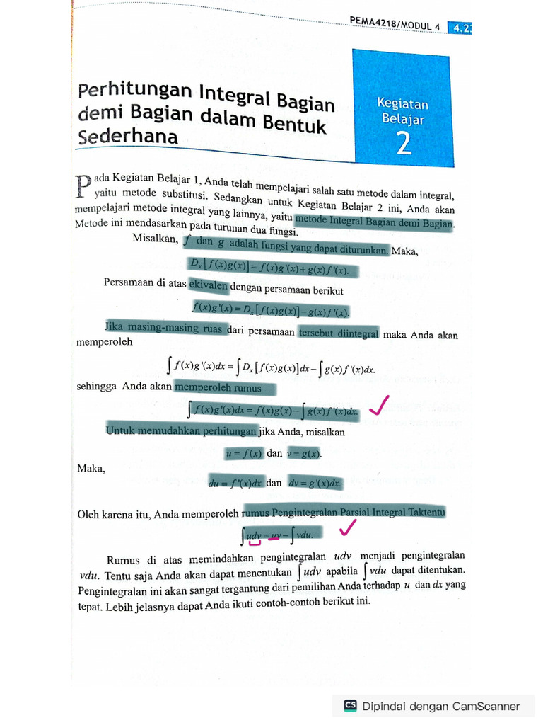 Integral Bagian Sofi | PDF