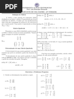 Matriz Adjunta | PDF | Matriz (Matemática) | Determinante