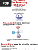 Handout 3a Peptide Drawing | PDF