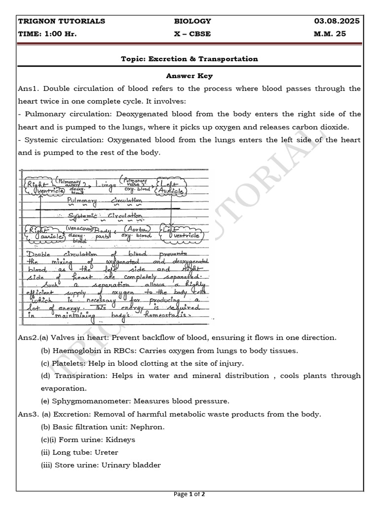 BIO. X-CBSE (Excretion & Transportation) | PDF | Blood | Circulatory System