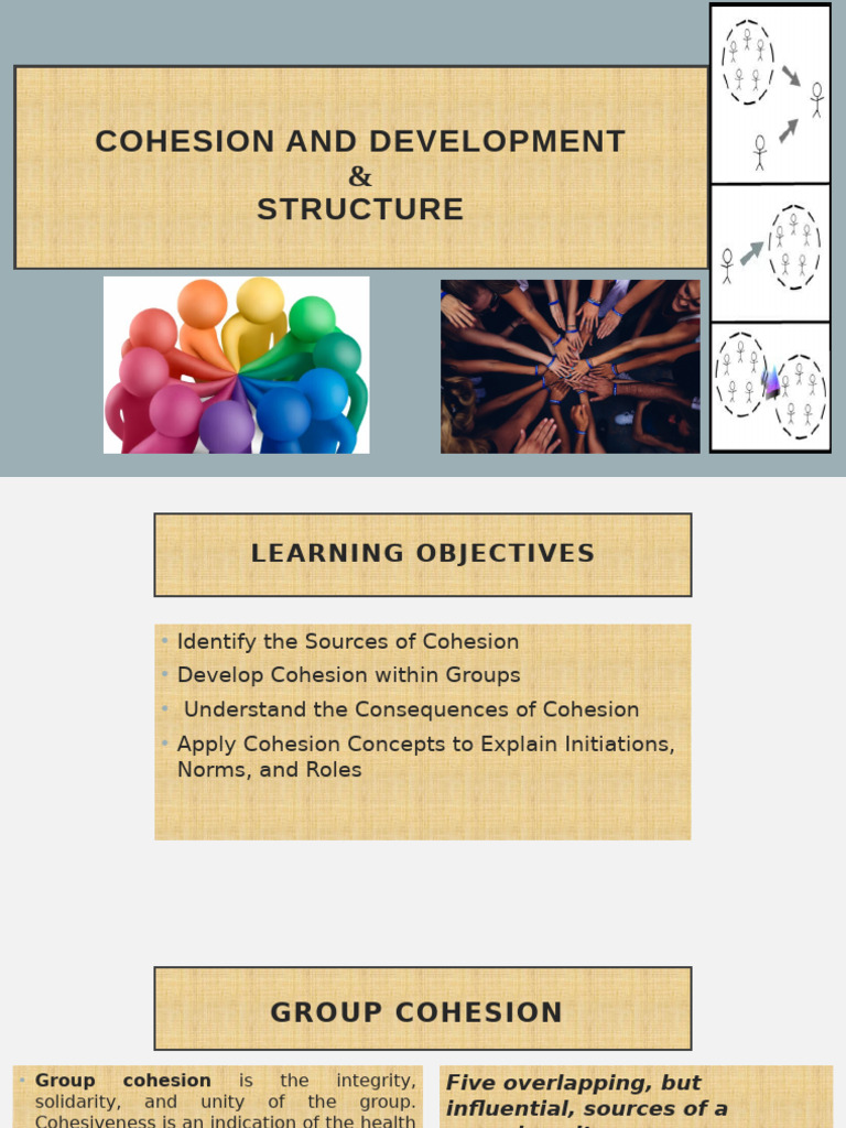 3 Cohesion and Development Structure | PDF | Group Cohesiveness ...