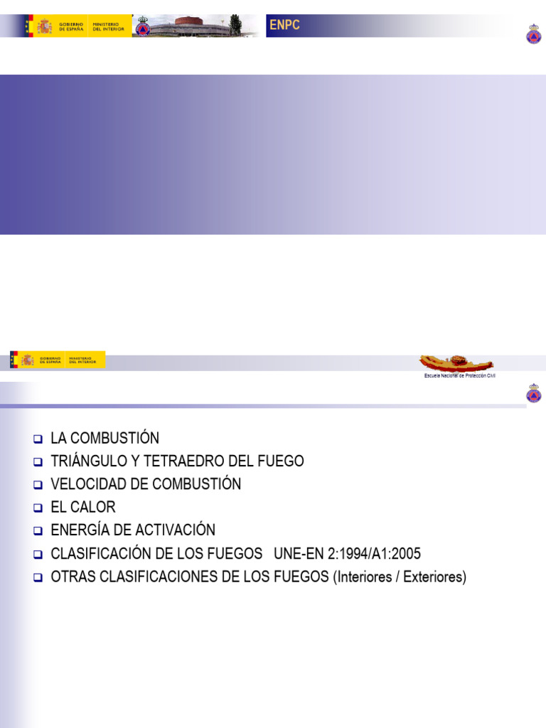 Quimica Del Fuego Pdf Combustión Conduccion Termica