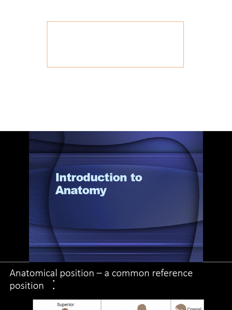 B Batch Skin and Fascia MBBS 2024-25 | PDF | Skin | Epidermis