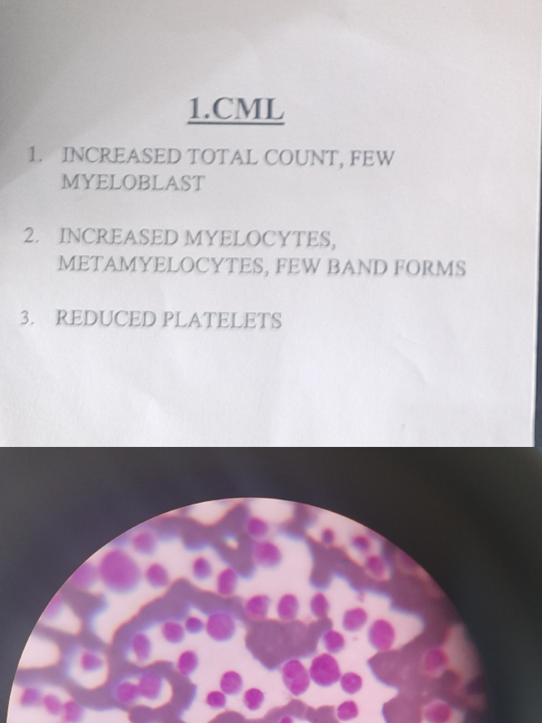 Pathology Slides | PDF