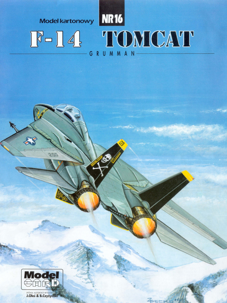 Grumman F-14 Tomcat | PDF