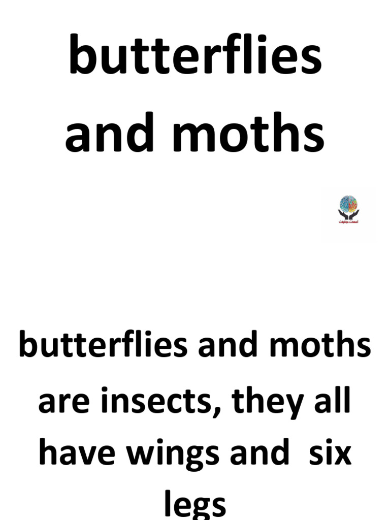 Butterflies and Moths | PDF