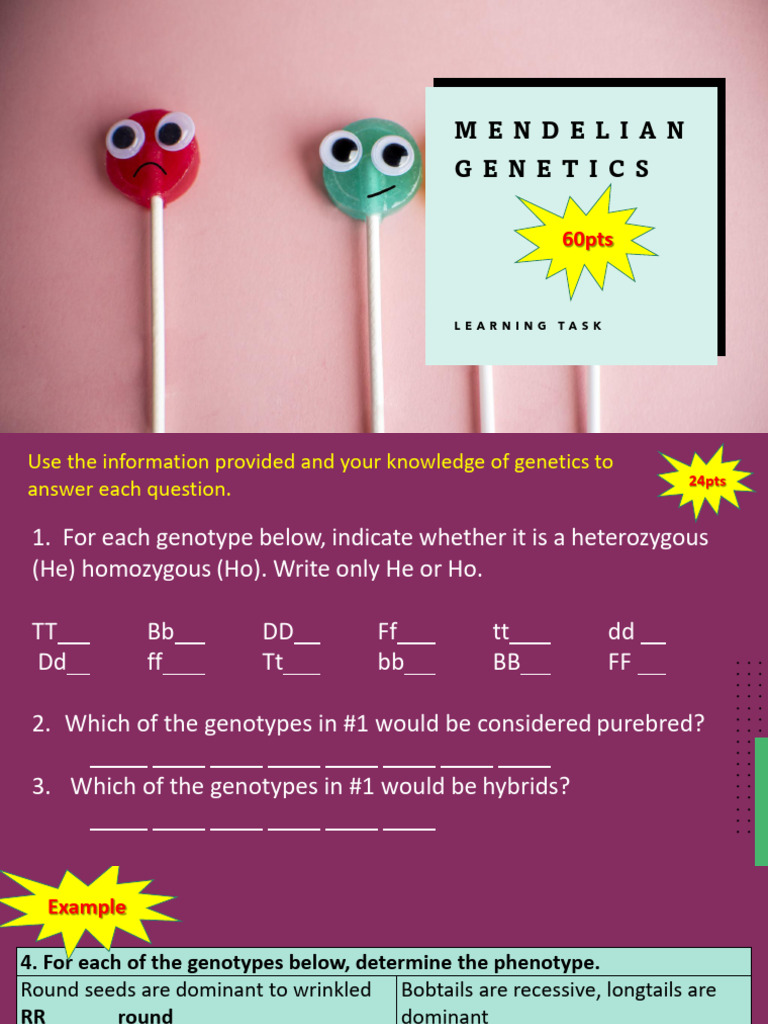 Mendelian Genetics Worksheet | PDF | Dominance (Genetics) | Genotype
