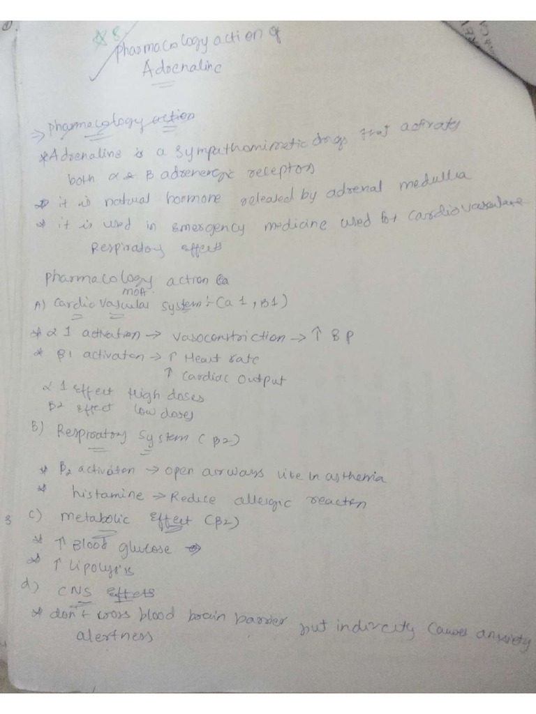 Pharmacy Notes 2 | PDF
