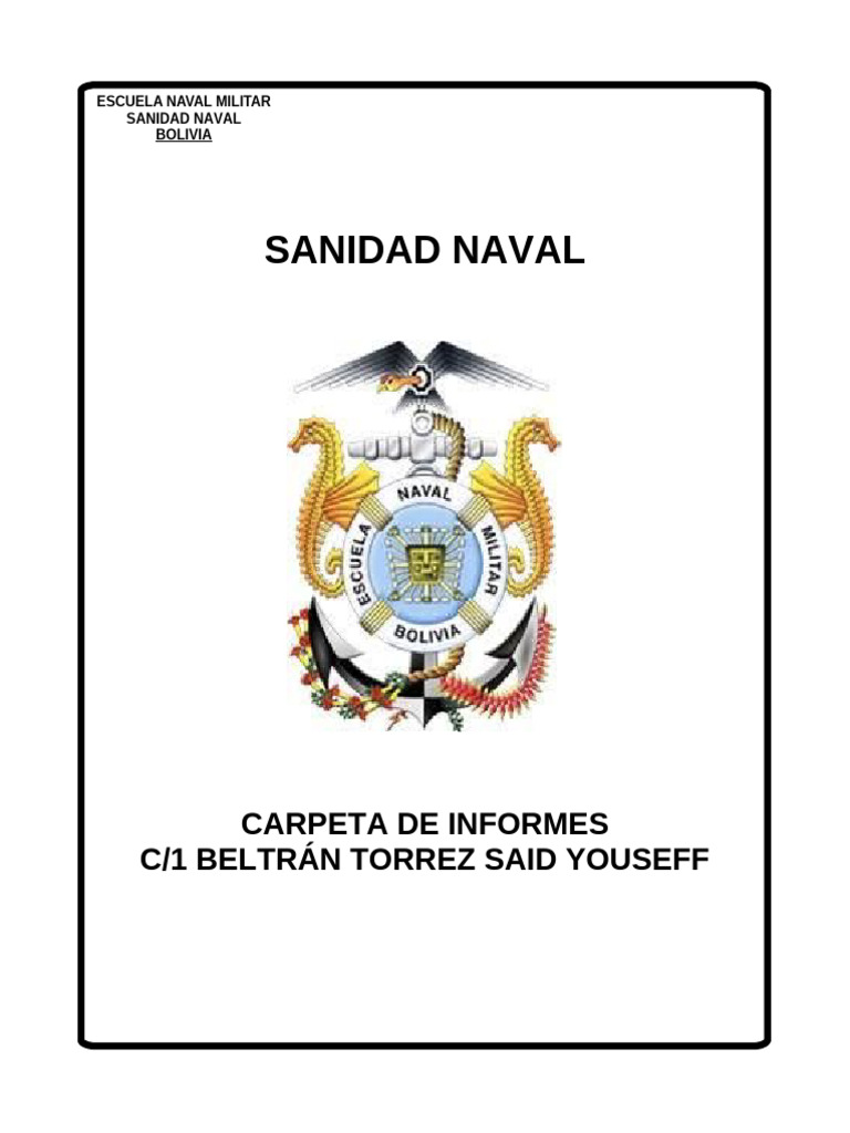 Caratula Interna Carpeta de Informes | PDF