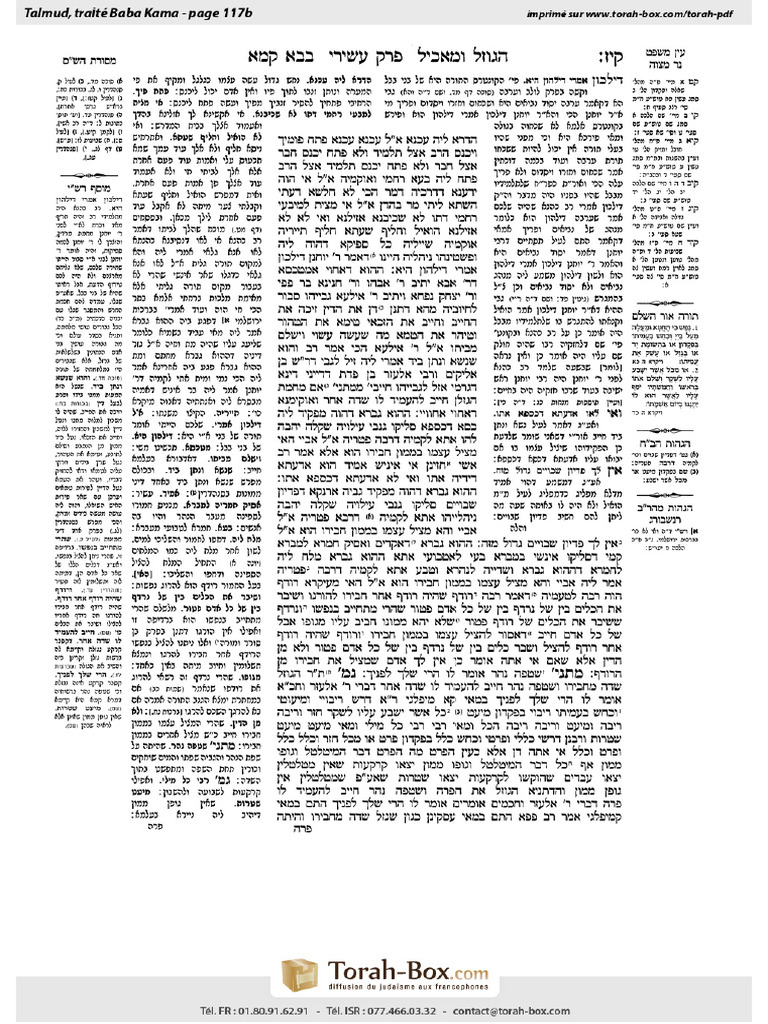 Talmud Baba-Kama 117b | PDF