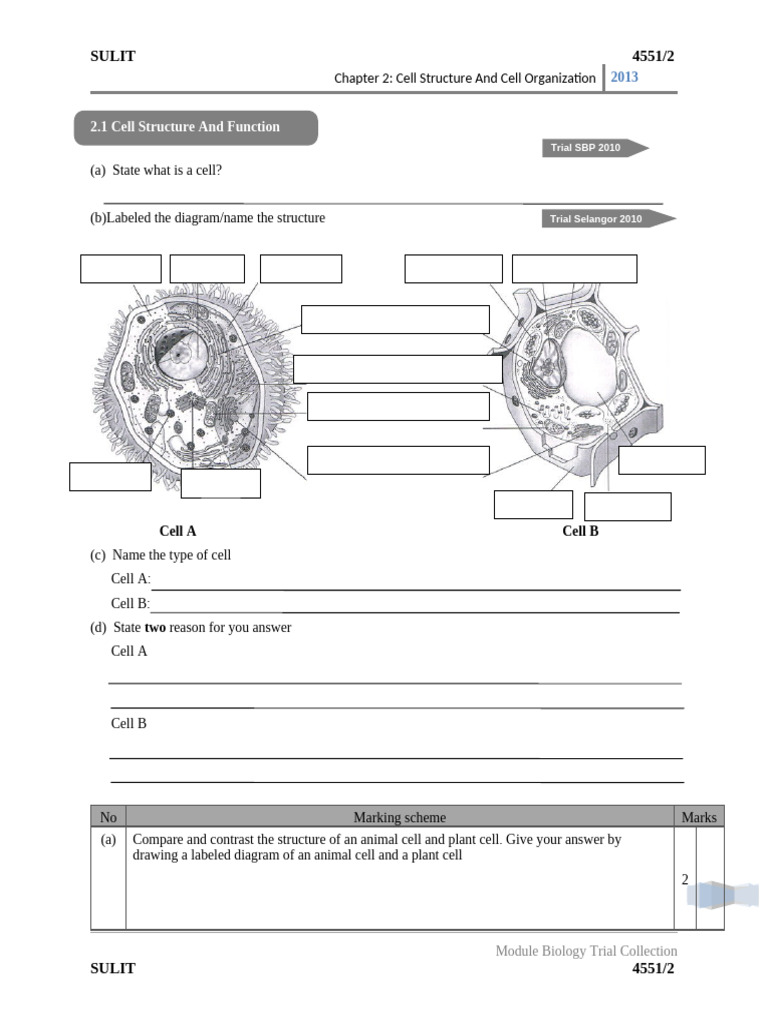 Biology Form 4 Chapter 2 No Ans | PDF | Cell (Biology) | Endoplasmic ...