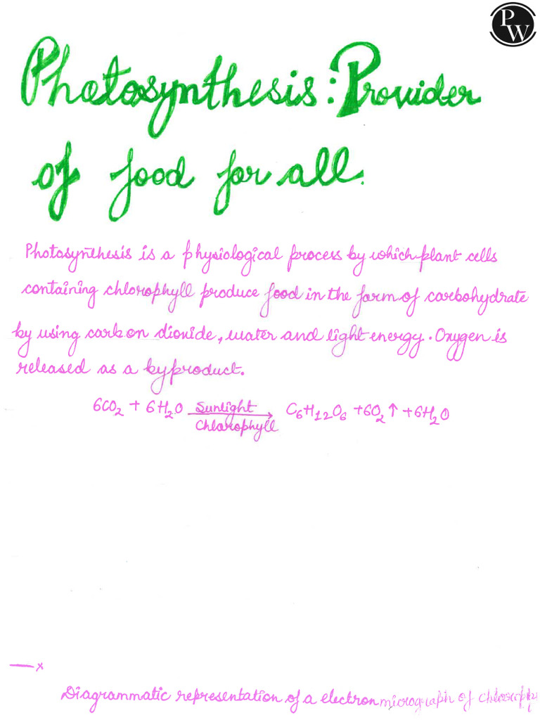 Photosynthesis Handwritten Notes | PDF