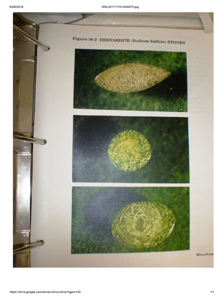 Thenardite (Sodium Sulphate) Stones Fig 16.2 | PDF