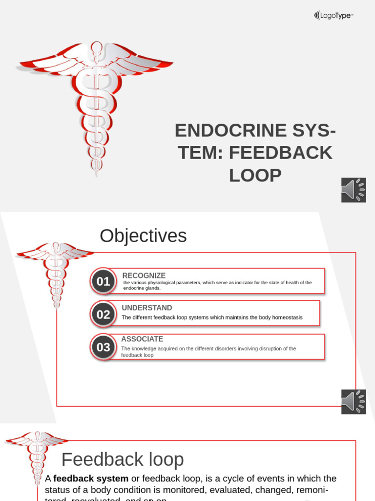 Module 8 Endocrine System Lab | PDF | Hypothalamus | Endocrine System