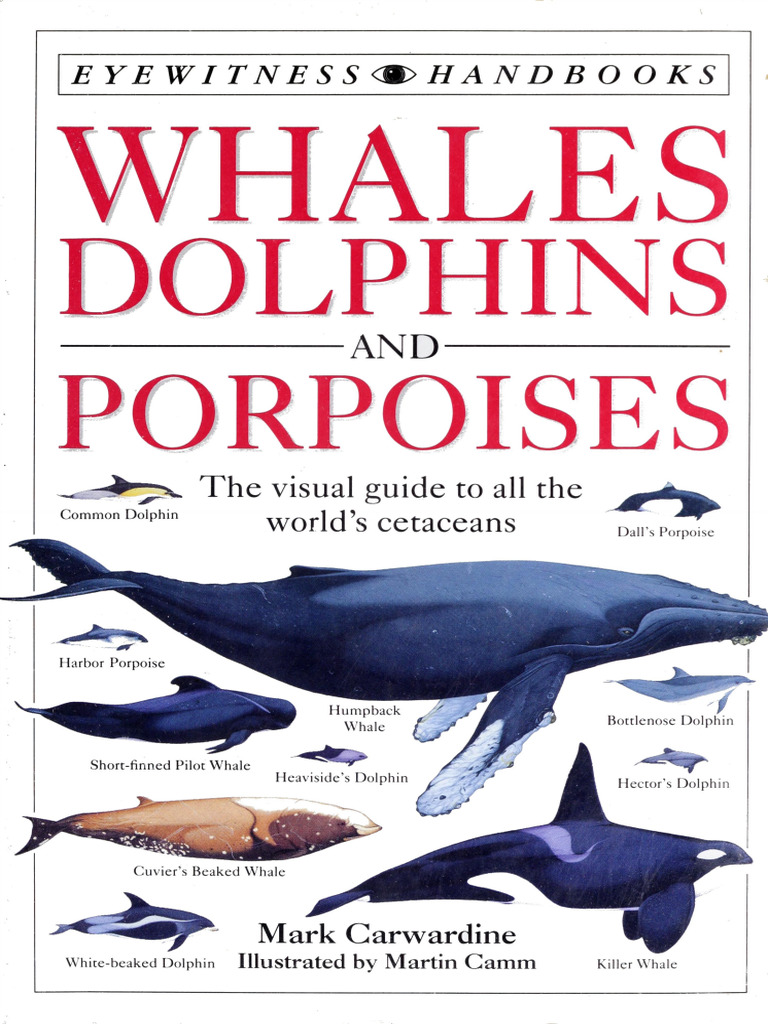 Whales, Dolphins, and Porpoises | PDF