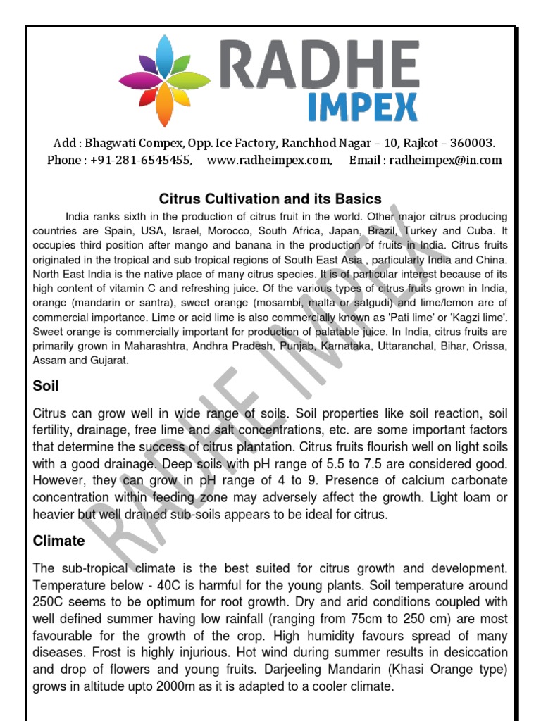 Citrus Project by Radhe Impex | PDF | Orange (Fruit) | Citrus
