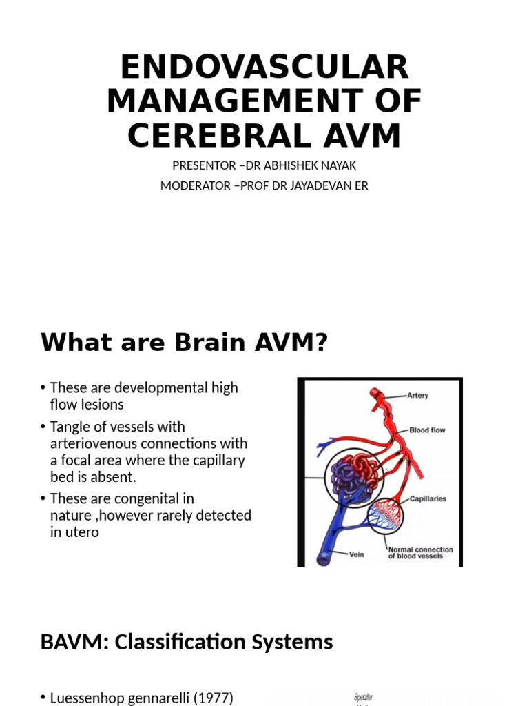 Endovascular Strategies for Cerebral AVM | PDF | Vein | Interventional ...