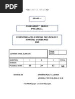 Grade 11 CAT PAT 2025 Guidelines | PDF | Computer File | Databases