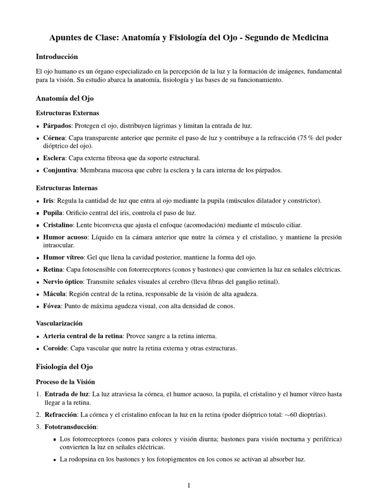 Asd Joj | PDF | Ojo humano | Percepción visual