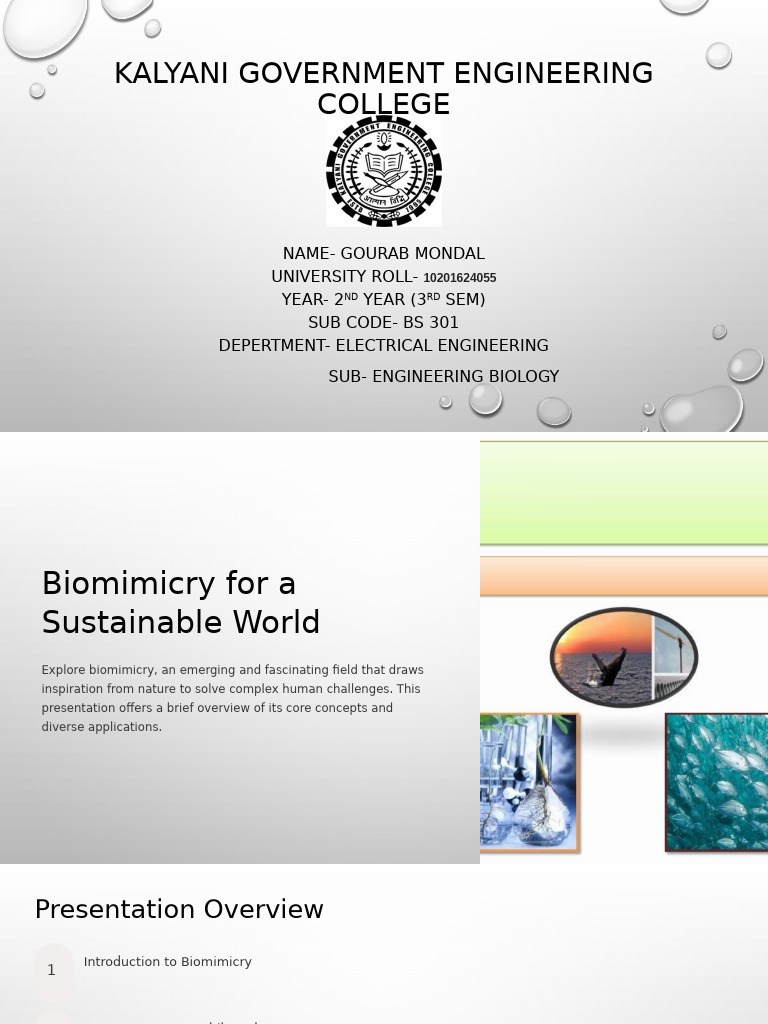 Biomimicry For A Inspired by Nature | PDF | Nature | Natural Environment