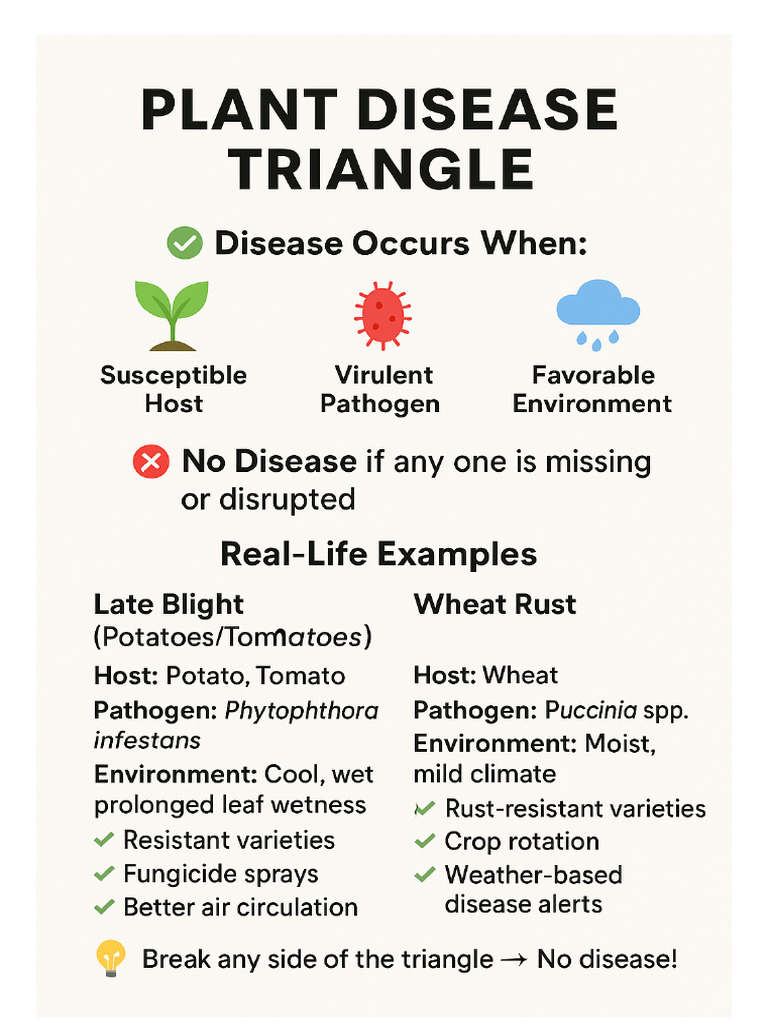 Plant Disease Triangle Poster | PDF