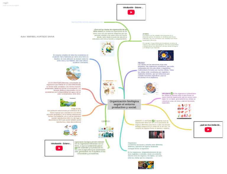 Organización Biológica Según El Entorno Productivo y Social | PDF ...