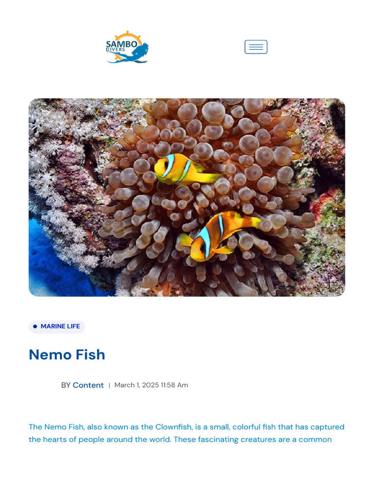 Nemo Fish in Marsa Alam - A Beloved Character of The Reefs | PDF ...