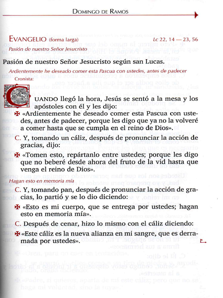 Pasión Lucas | PDF