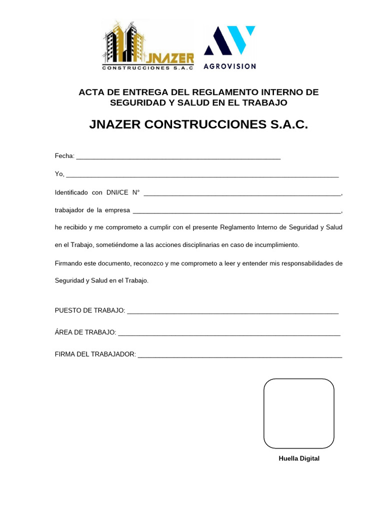 Formato Entrega Del RISST | PDF