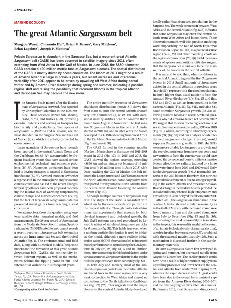 Great Atlantic Sargassum Belt Overview | PDF | Atlantic Ocean | Earth ...