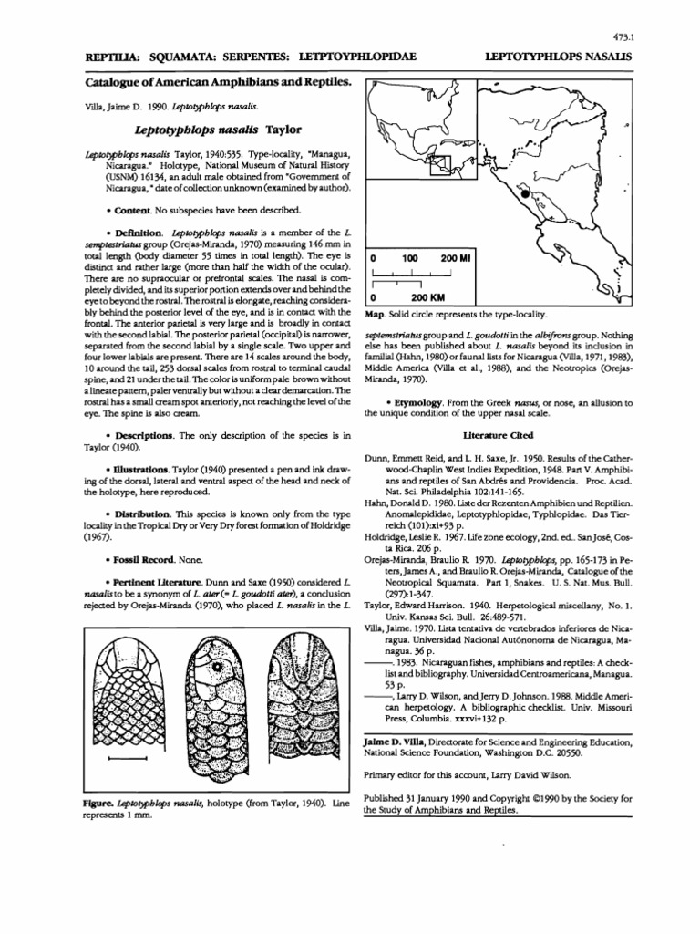 0473 Leptotyphlops Nasalis | PDF | Anatomical Terms Of Location