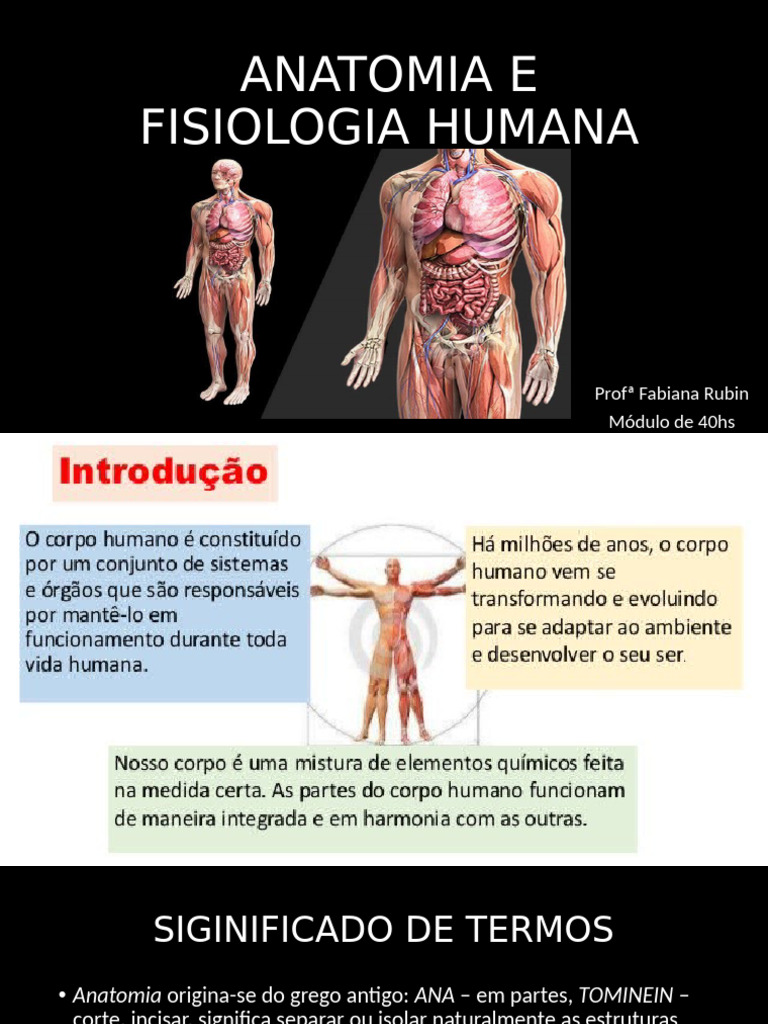 Anatomia e Fisiologia Humana | PDF
