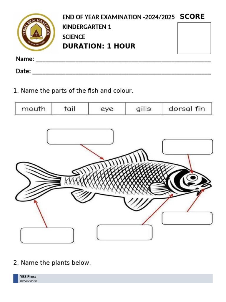KG1 Science Exam: Living Things | PDF