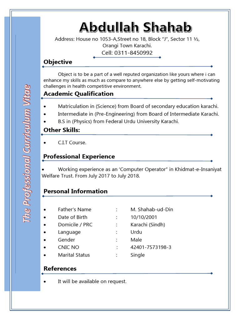 Abdullah Shahab CV | PDF