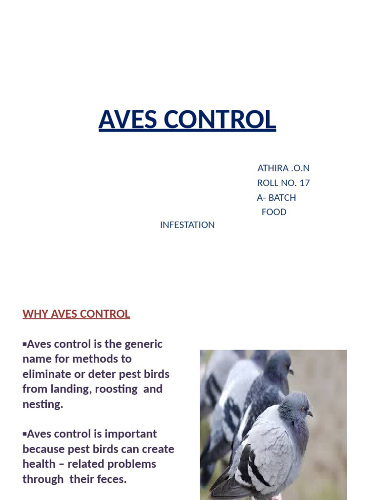 Document From Fathimath Sakiya Nasreen(9) | PDF | Birds | Zoology