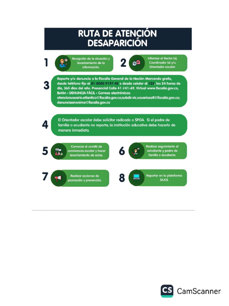 Infografías Protocolo | PDF