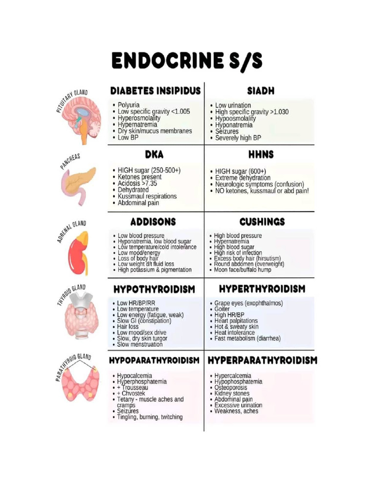 Mnemonic s | PDF