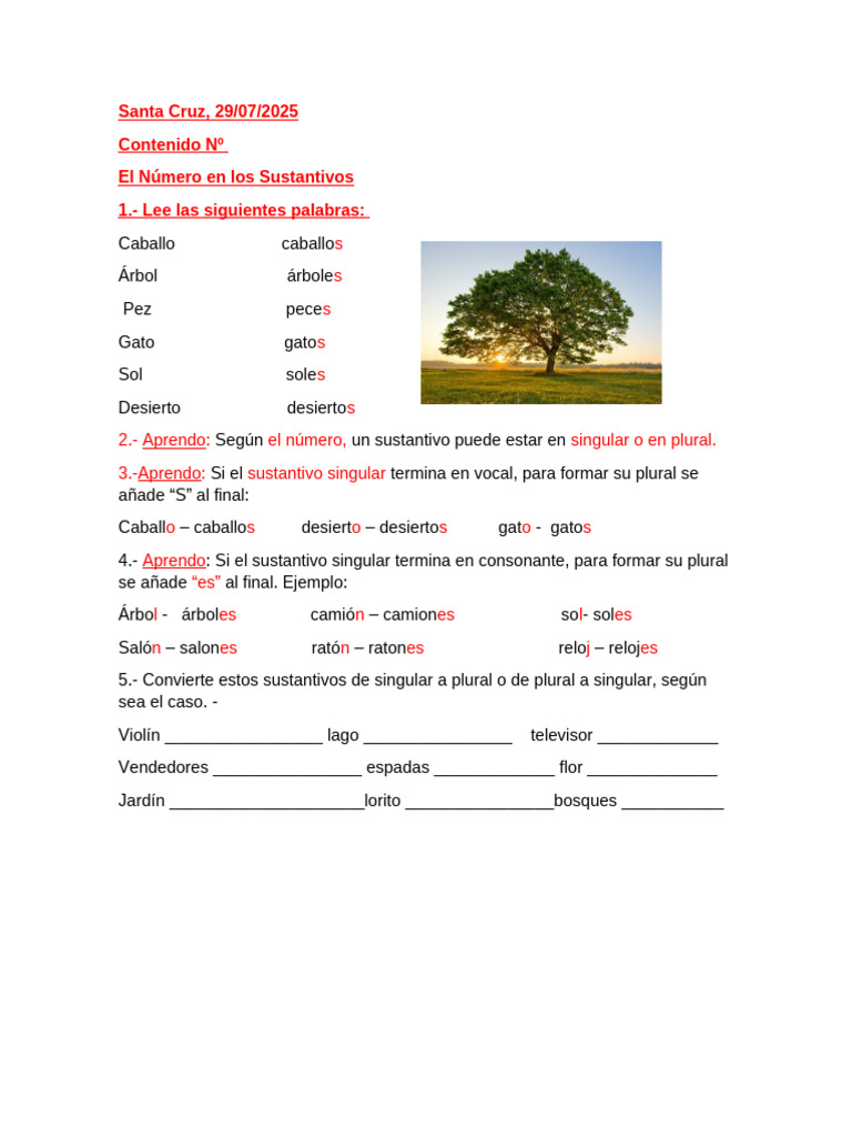 Contenido de Lenguaje El Singular y Plural Del Sustantivo | PDF