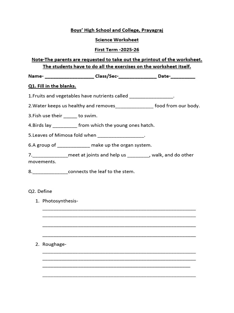 Science Worksheet Class 3 - 2025-26 | PDF | Foods