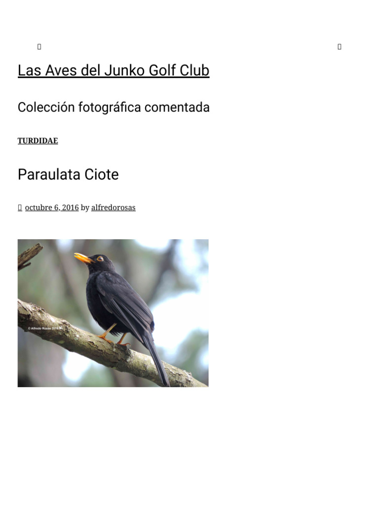 La Paraulata Ciote en el Junko Golf Club | PDF