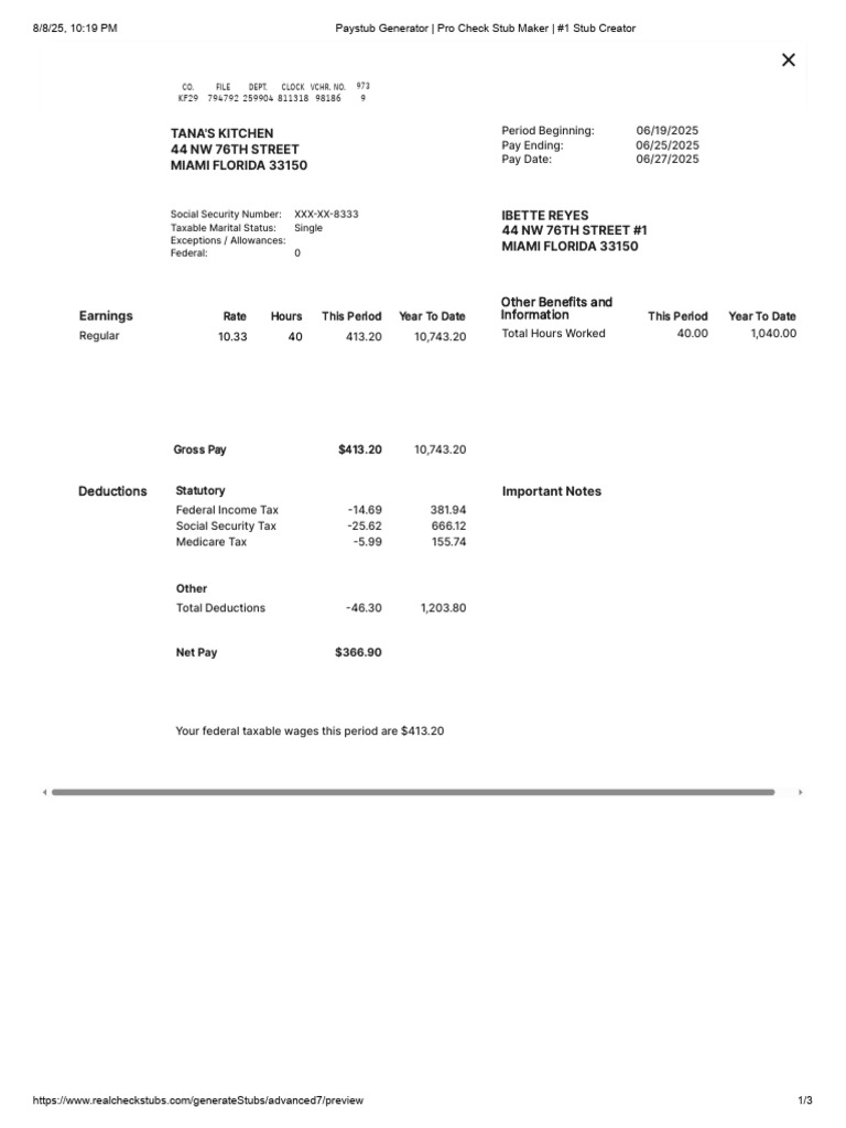Florida Pay Stub Preview & Payment | PDF | Social Security (United ...