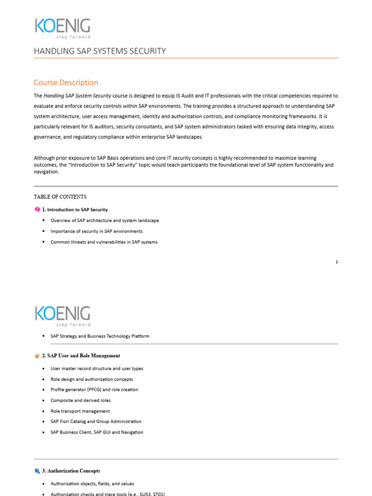 SAP Security Course Overview | PDF | Securities | Audit