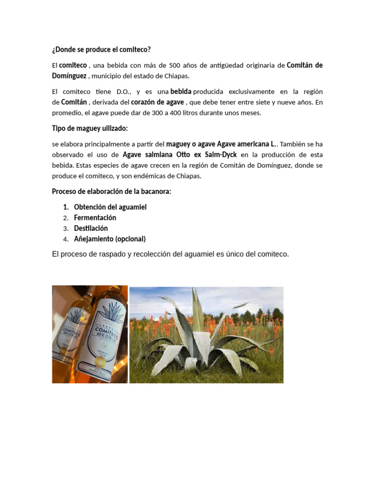 Comitan y Papalote | PDF