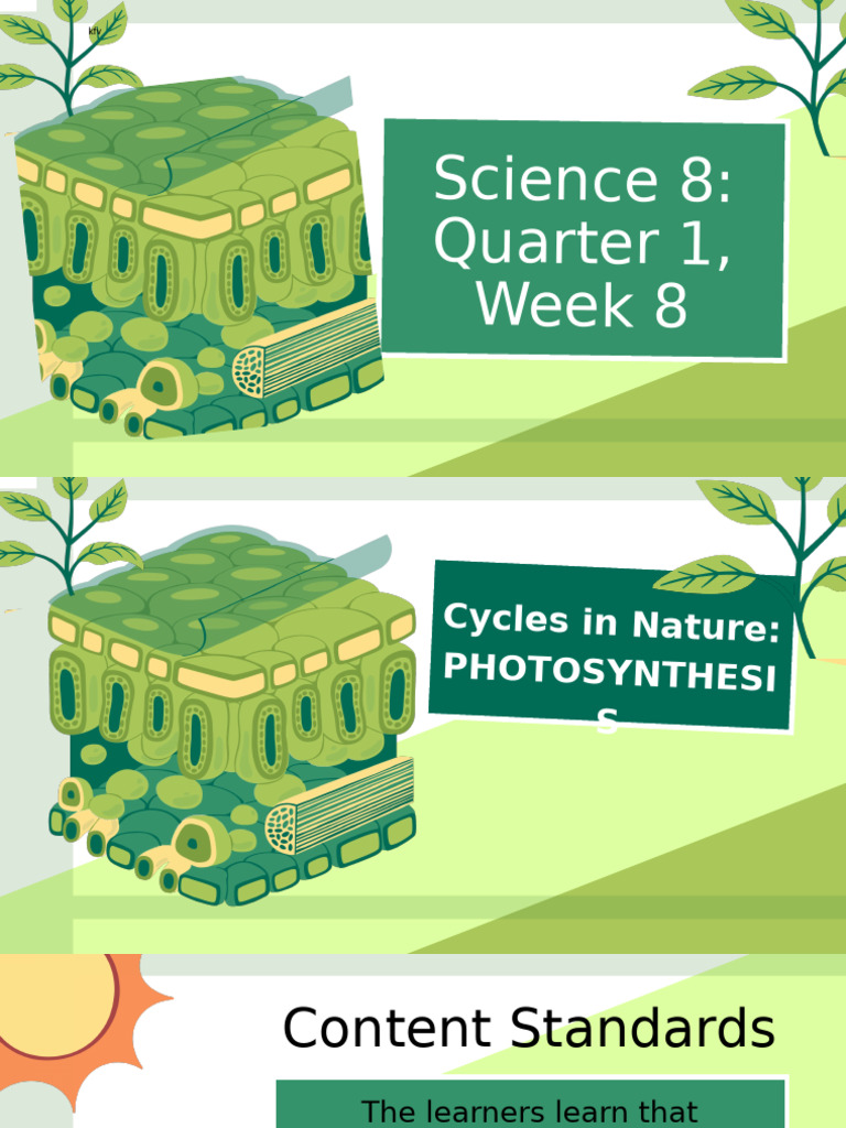 Science 8, Quarter 1, Week 8 | PDF | Cellular Respiration | Adenosine ...