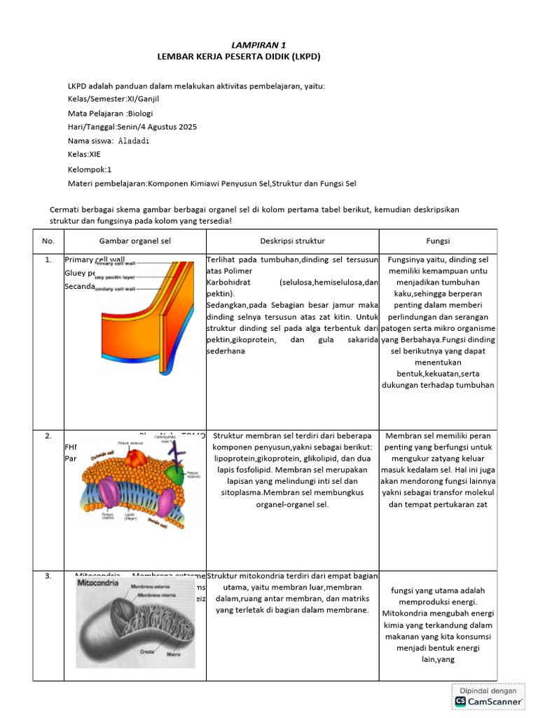 LKPD Menjelajahi Sel Kelas Xi e Kelompok 1 | PDF