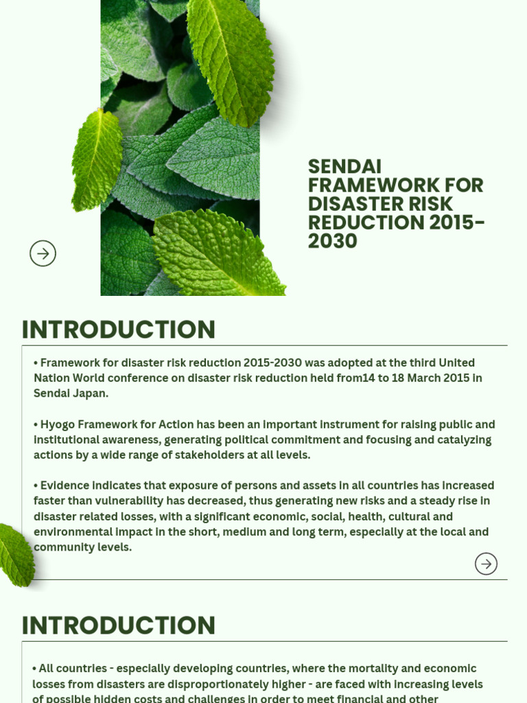 Sendai Framework for Disaster Risk Reduction | PDF | Disaster Risk ...